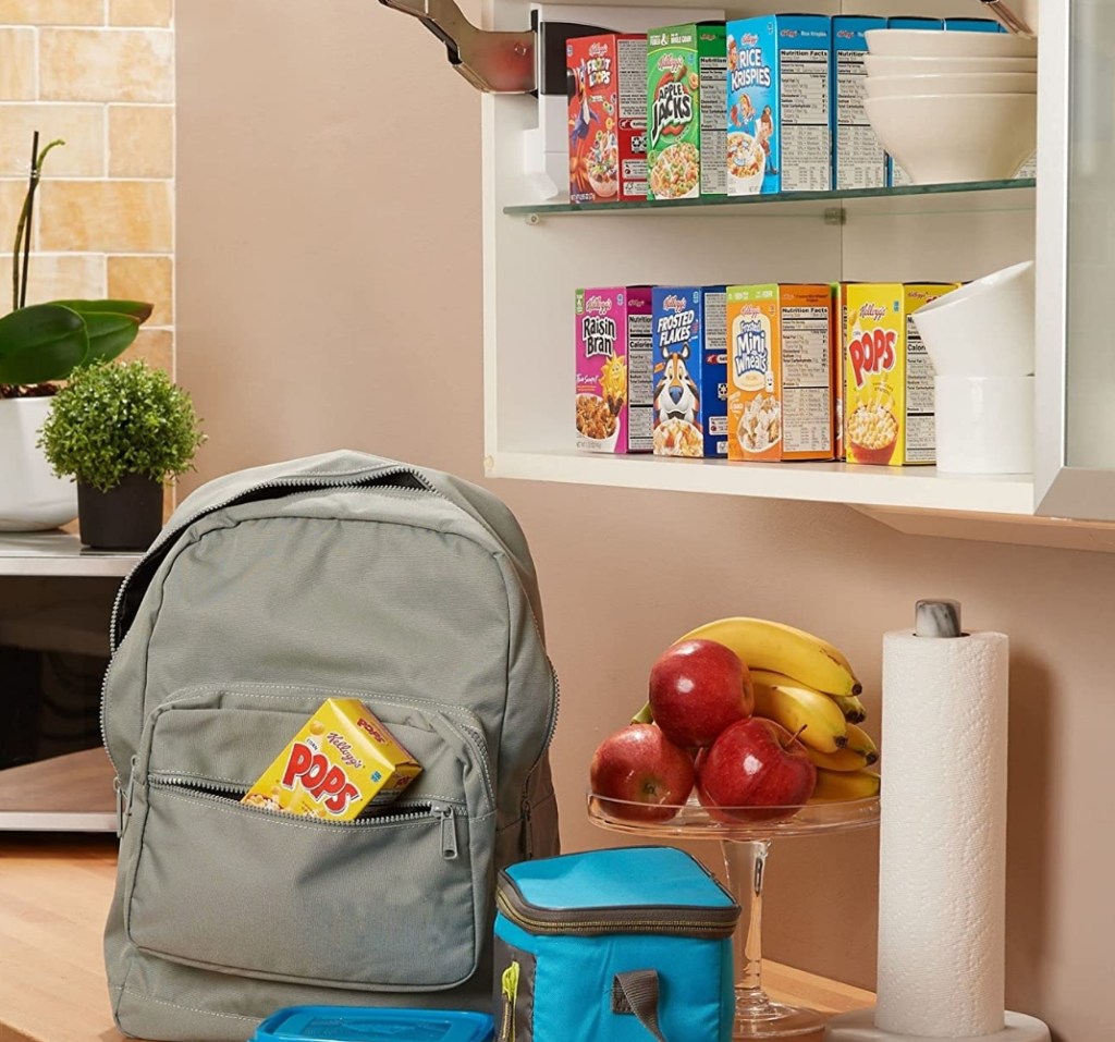 Kellogg's Cereal 48-Count Variety Pack Mini Boxes Only $16 Shipped on ...