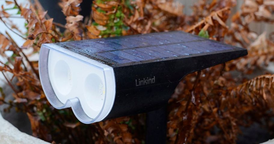 Smart Solar Lights 2-Pack Just $16.90 Shipped for Prime Members (Reg ...