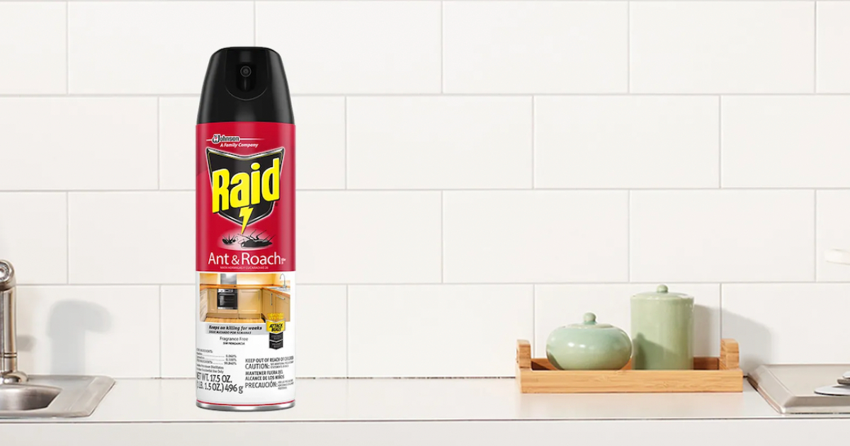 Raid Ant & Roach Killer 2-Pack Just $5.67 Shipped on Amazon