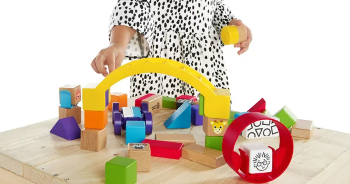 Baby Einstein Wooden Building Block 40-Piece Set Just $12.98 on Walmart ...