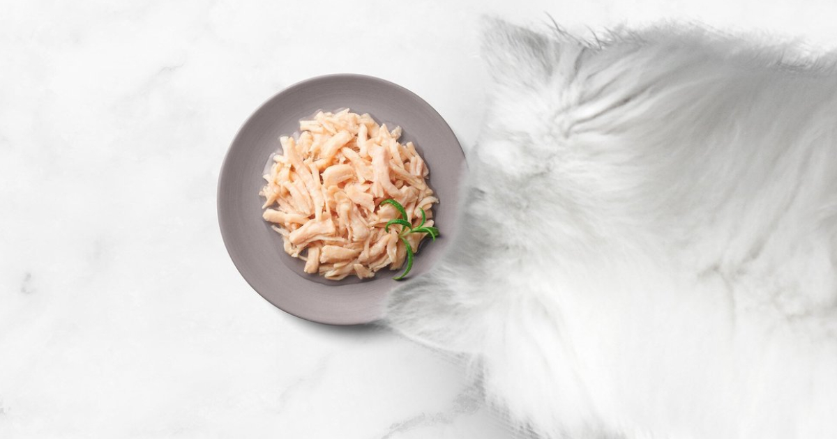 Fancy Feast Appetizers Variety 16-Pack Just $10.74 on Target.com ...