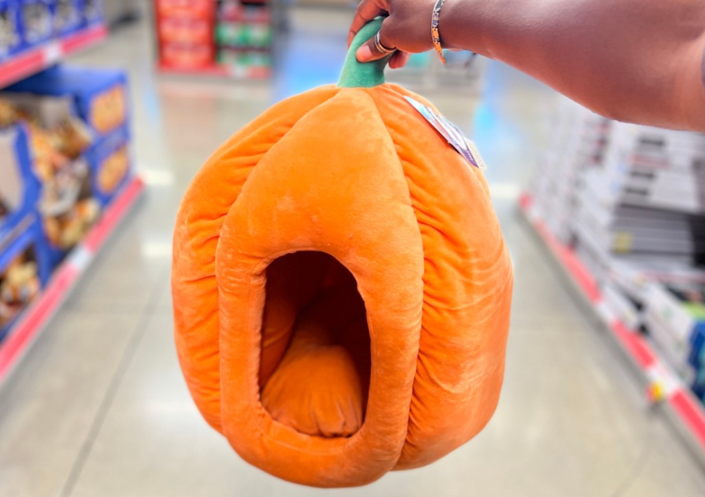 ALDI Halloween Pet Beds Just 19 99 Bat Monster Spider More ALDI Halloween Pet Beds Just 19 99 Bat Monster Spider More