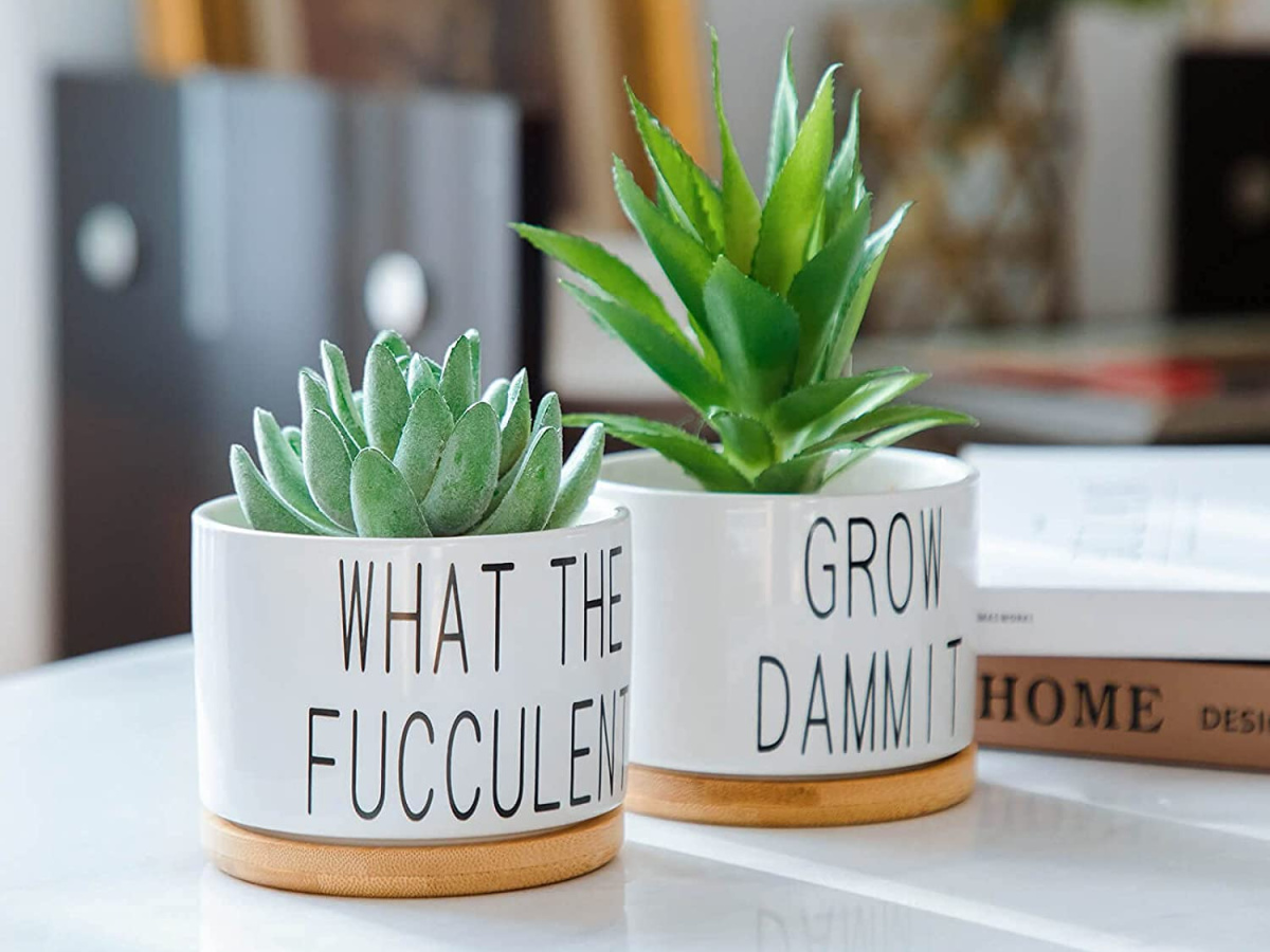 Cheeky Succulent Pots 2-Pack Only $13.49 on Amazon (Regularly $27 ...