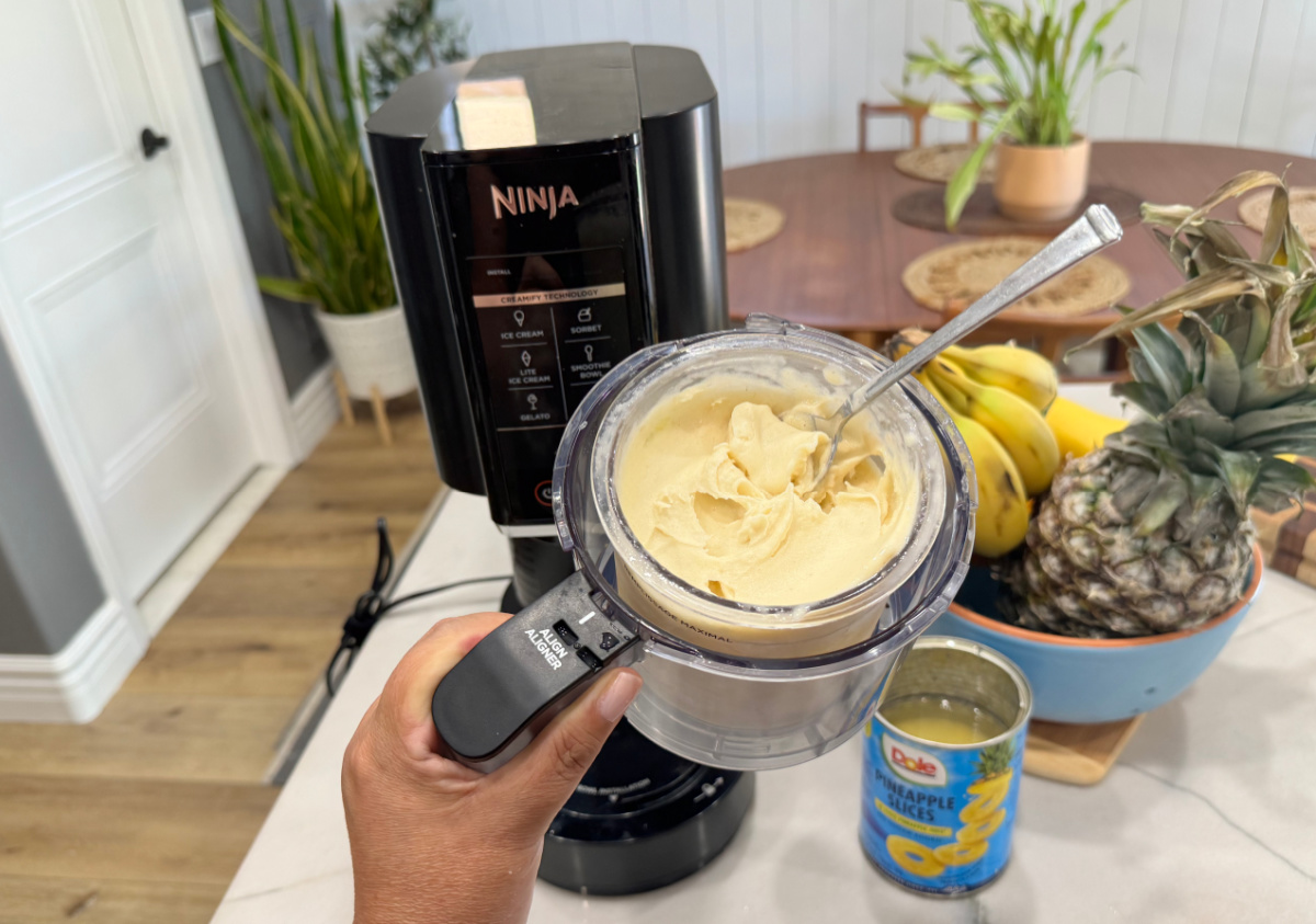 10 Easy Ninja Creami Recipes to Try with Your Machine!