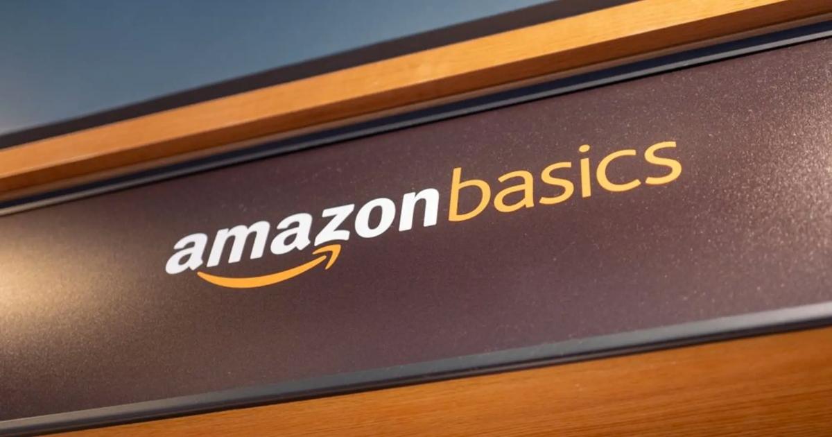 Amazon is Reducing its Private Label Brands (And We're Seeing Big ...