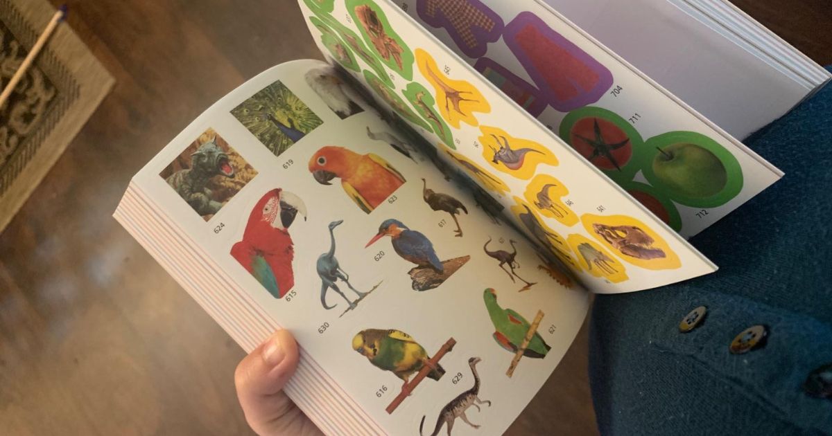 1000 Stickers: Pocket-Sized Activity Book Only $4.39 on Amazon ...