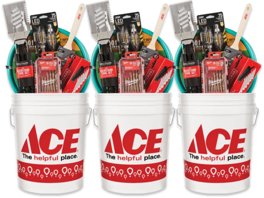 Ace Hardware's Bucket Sale | Donate $5 & Score 20% Off Everything in ...