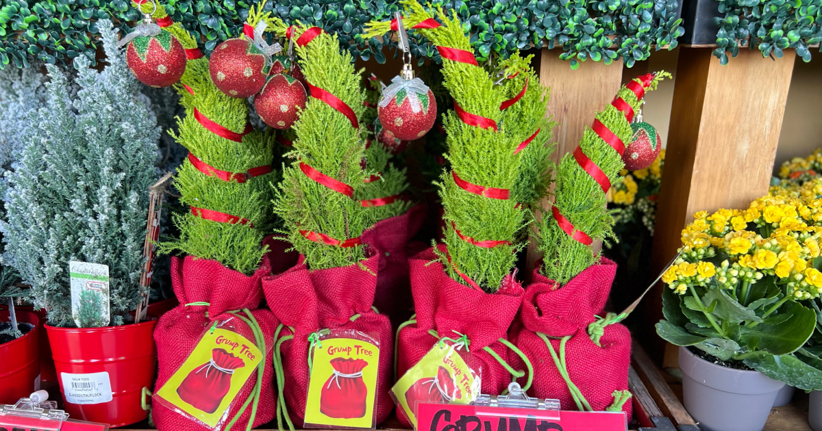 Trader Joe's Grinch Christmas Trees Have Returned & They're Only $9.99 ...