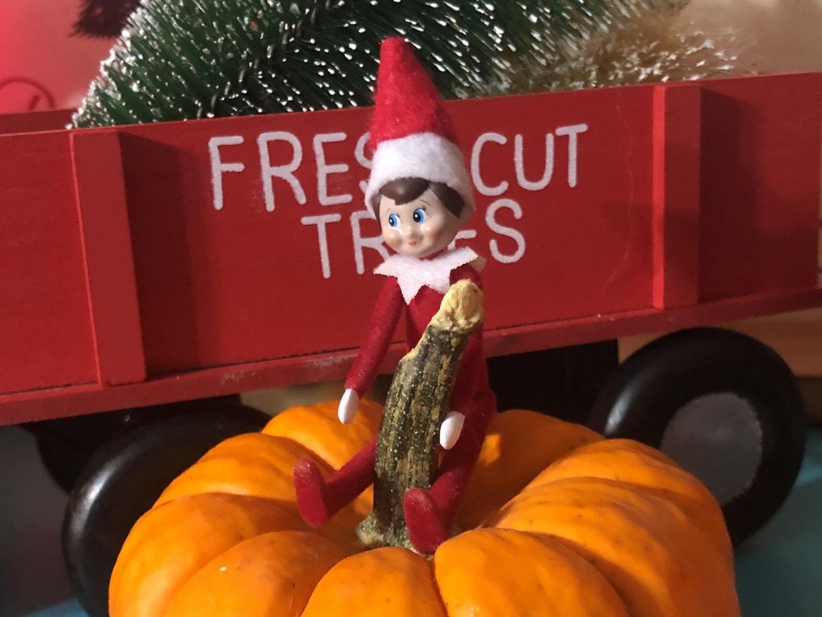 50% Off LTD Black Friday Sale | World's Smallest Elf on the Shelf Just ...
