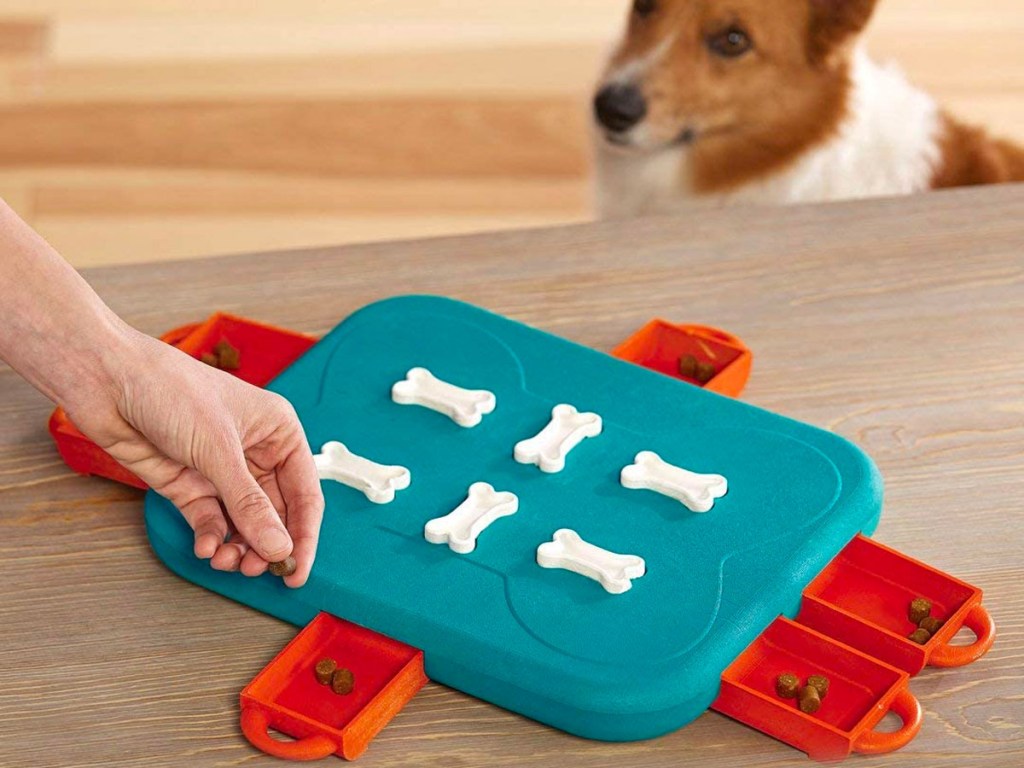 Outward Hound Dog Puzzle Toys from $5 Each on Amazon (Reg. $20) | Great ...