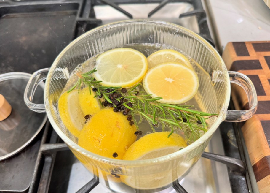 3 DIY Stovetop Potpourri Scents to Make Your Home Smell Fresh & Cozy!