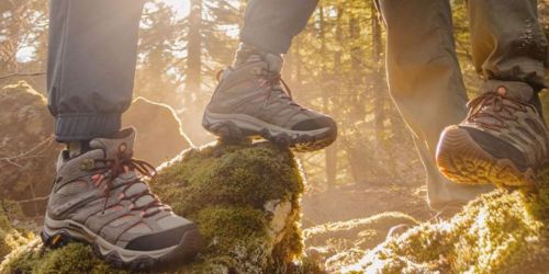 Up to 60% Off Kohl's Fall Decor | Sonoma 14oz Jar Candles Only $9.59 ...