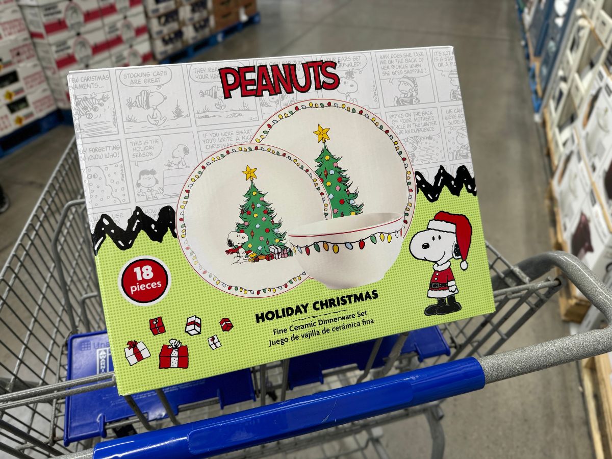 Peanuts Christmas 18-Piece Dinnerware Collection Just $49.94 at Sam's ...