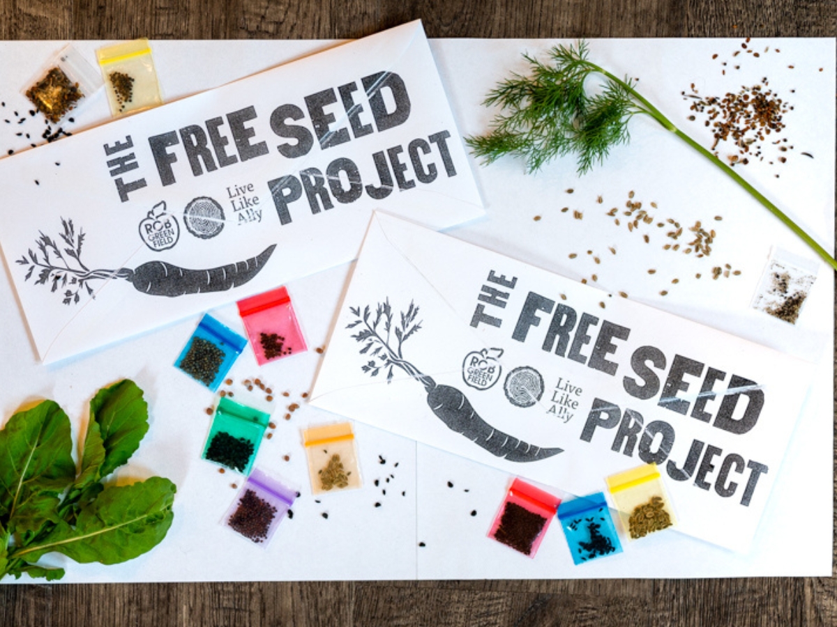 How to Get Free Seeds for Your Garden | Vegetables, Fruit + More