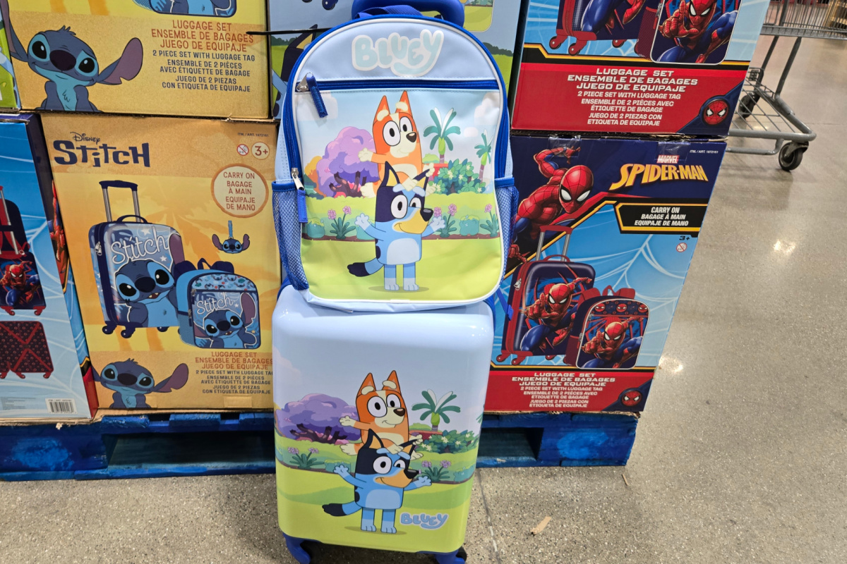 New Holiday Toys Just Landed at Costco | Little Tikes, Bluey, Giant ...