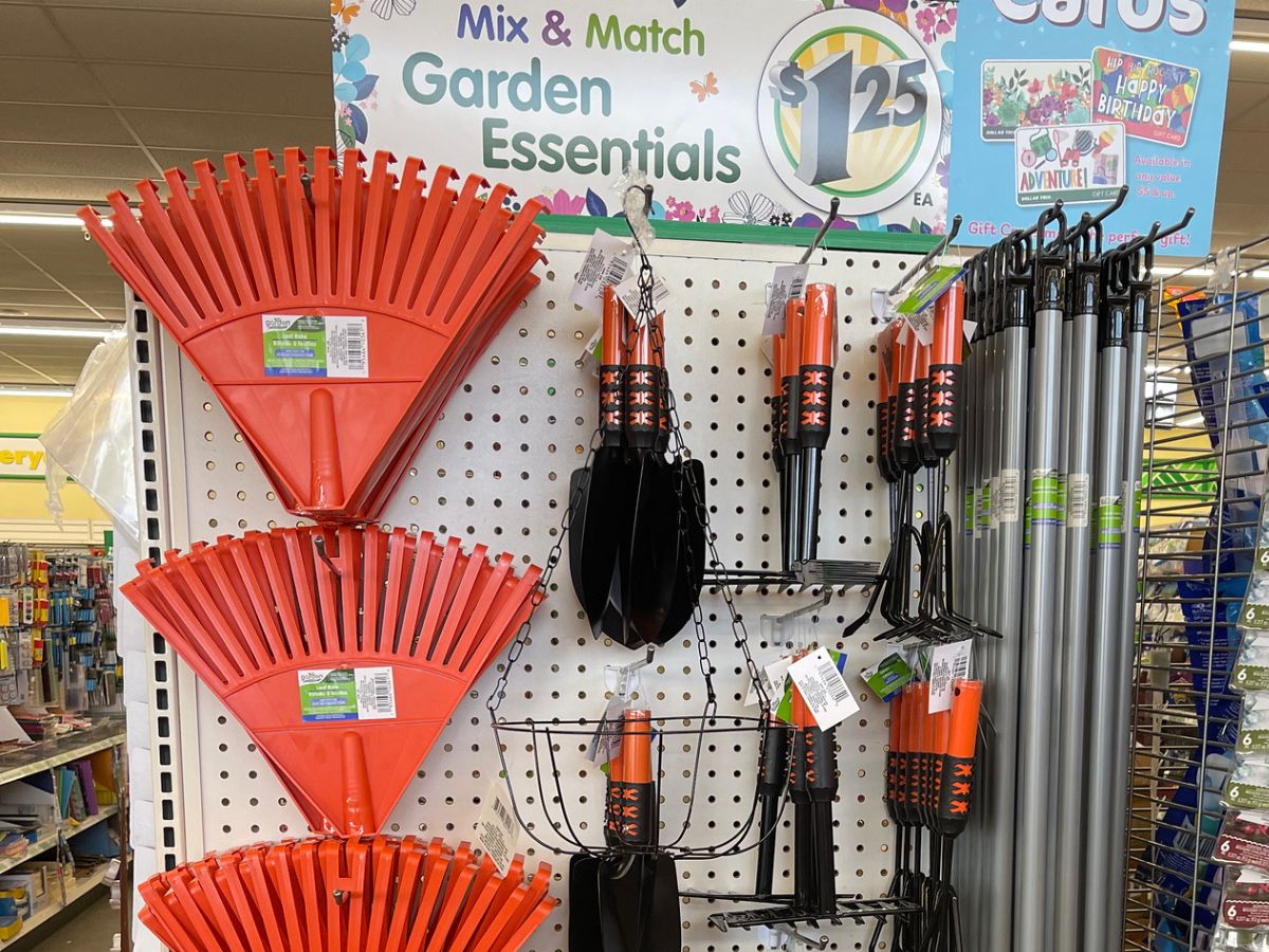 Dollar Tree Gardening Supplies Just $1.25 | Planters, Shovels, Seeds ...