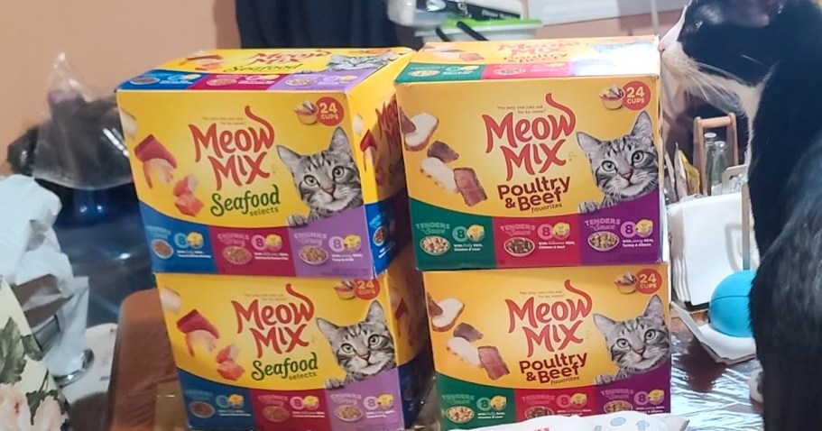Meow Mix Cat Food 24-Count Boxes Just $11 Shipped on Amazon (Reg. $19 ...