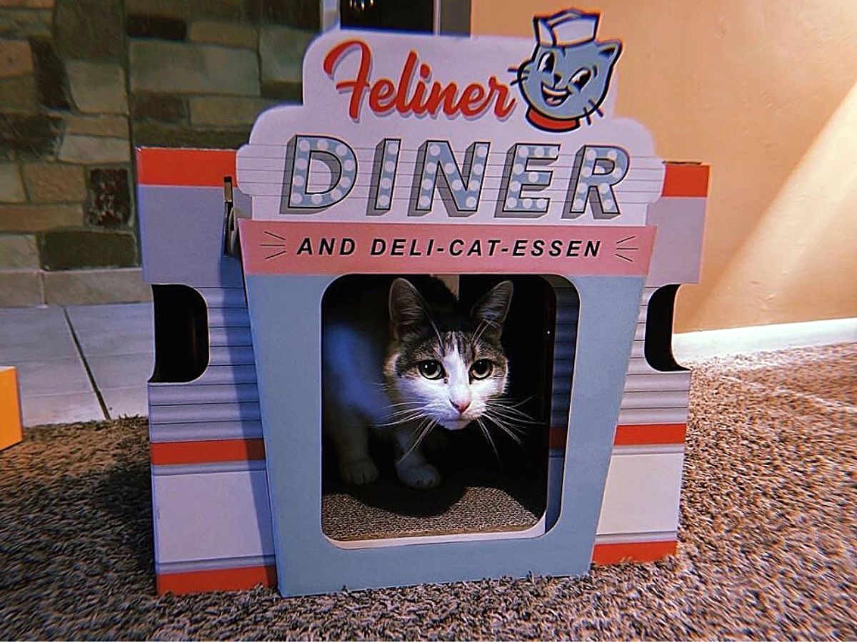 Boots & Barkley Double Decker Diner Cat Scratch House Only $14.44 on ...