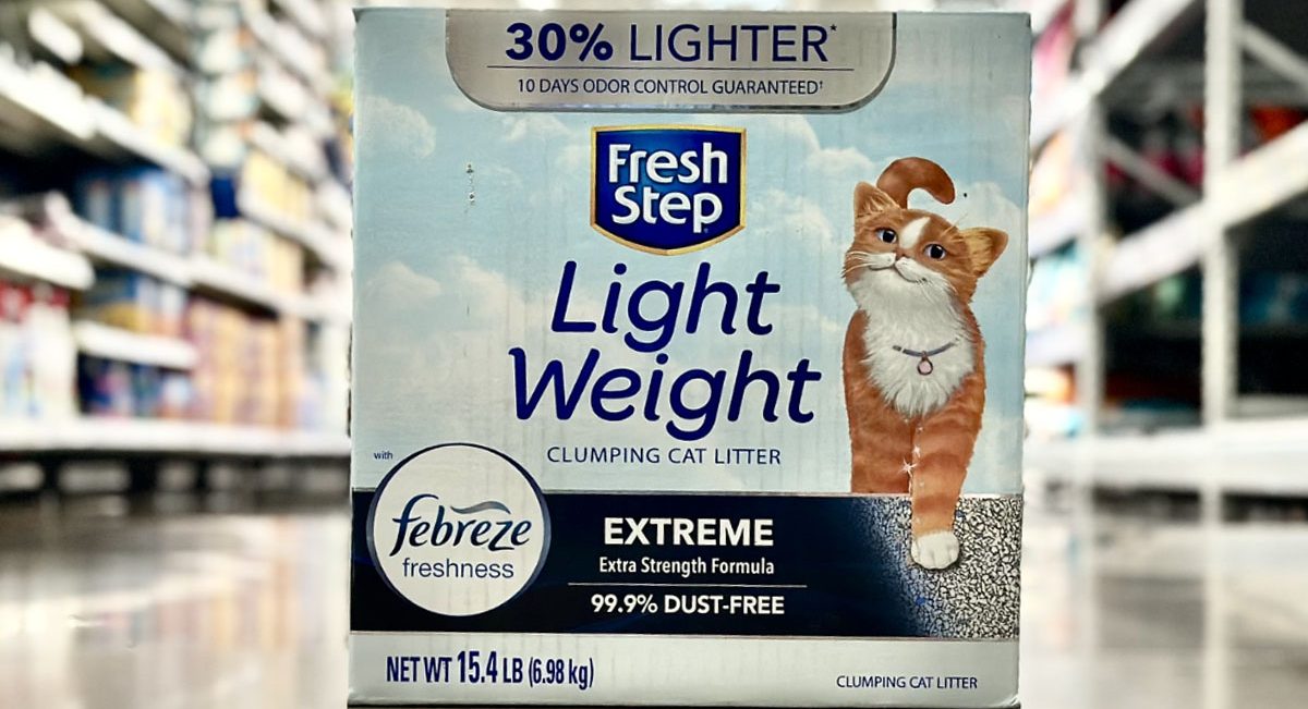 Why You Need to Know About Your Neighborhood's Bulk Trash Pickup Day