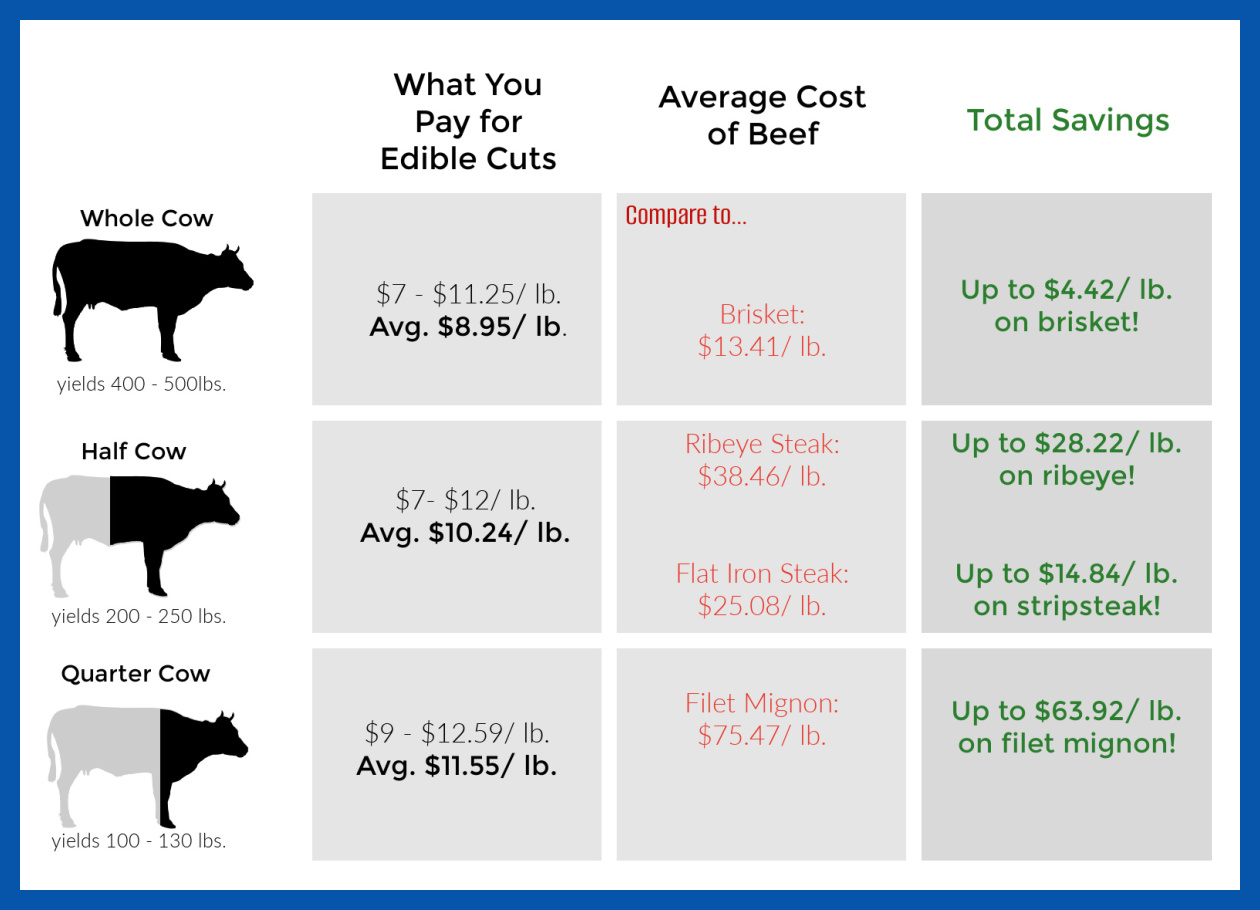 How to Buy a Cow & Meat in Bulk (Unique Money-Saving Method!)