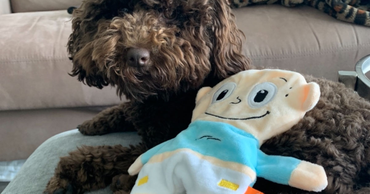 Nickelodeon 90s Dog Toys from $4 on Amazon | Hey Arnold, Rugrats ...