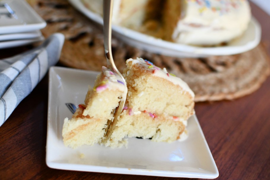 The Best Vanilla Wacky Cake Recipe is Dairy-Free and Vegan!