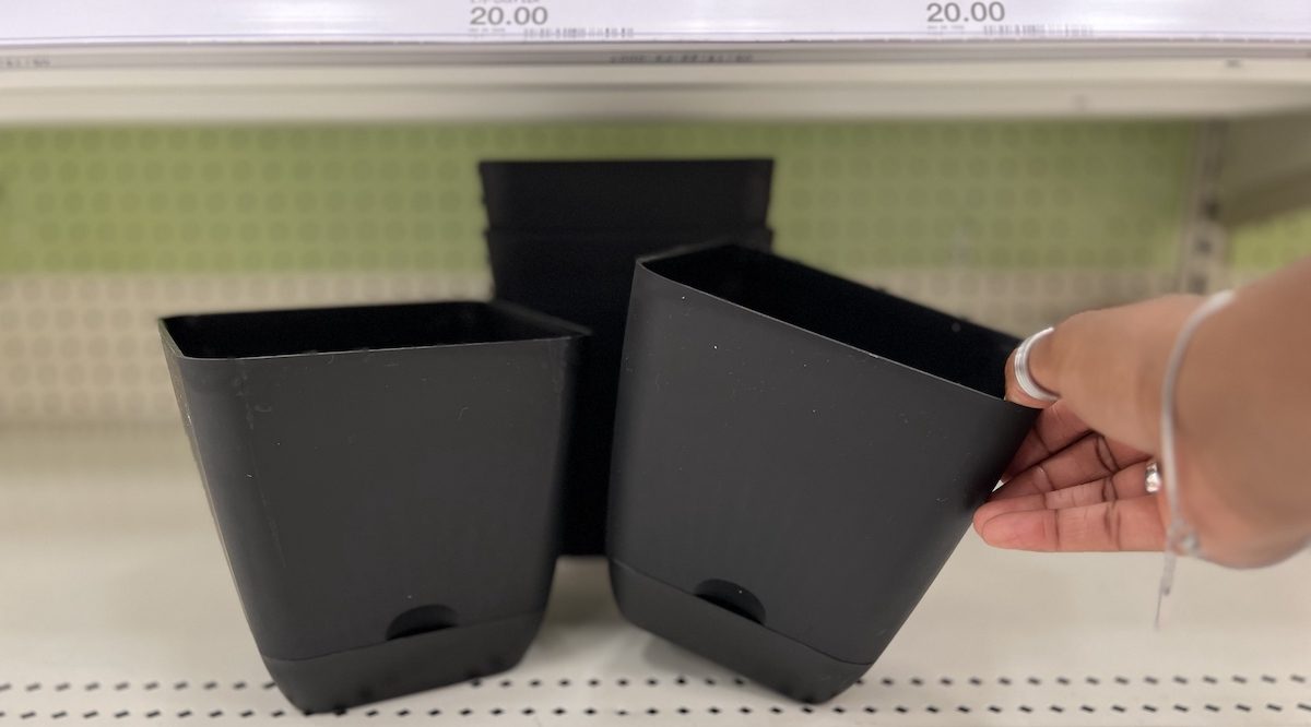 I Tried and LOVED Target's Popular Self-Watering Planters