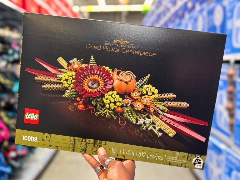 LEGO Dried Flower Centerpiece Set Only $31.99 on Amazon (Easy Fall ...