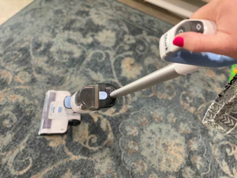 Easy Guide How to Prevent Lice (+ How To Treat Lice If Exposed)