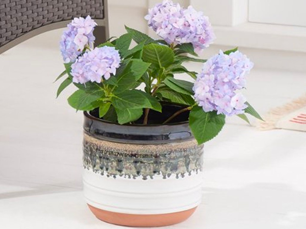 Walmart's Trendy Better Homes & Gardens Planters Start at Just $3 ...