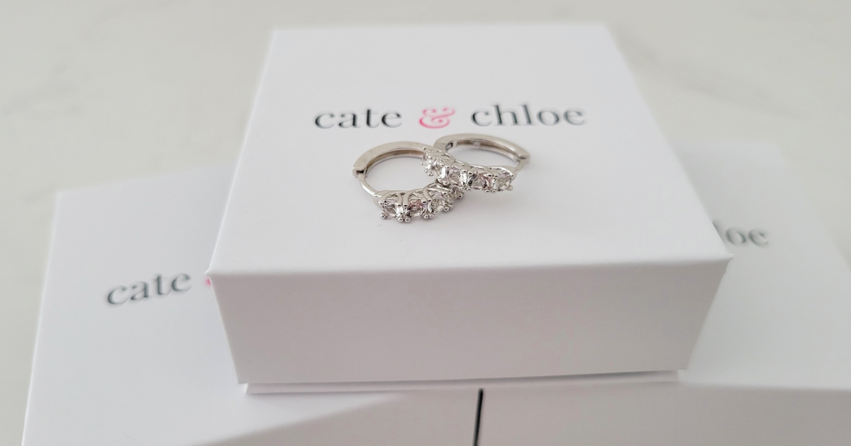 Cate & Chloe Crystal Hoop Earrings + Gift Box Only $17.99 on Walmart ...