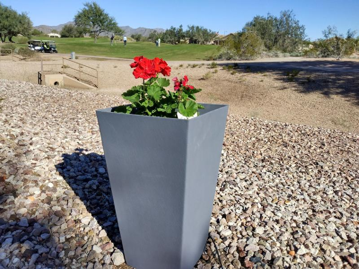 Use This Hack to Style Indoor Trees to Look Taller and Realistic!