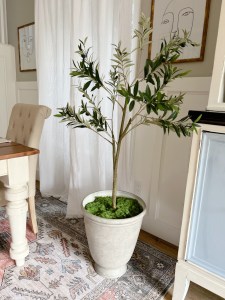 Use This Hack to Style Indoor Trees to Look Taller and Realistic!