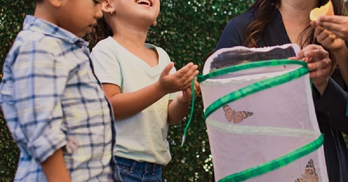 Insect Lore Butterfly Garden Set Just $27.99 on Amazon (Regularly $34 ...