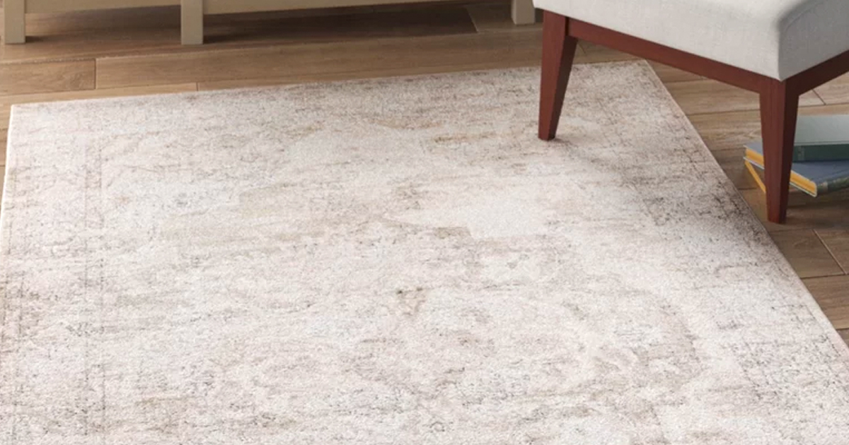 Up to 75% Off Large Area Rugs on Wayfair - Shop Now | Hip2Save