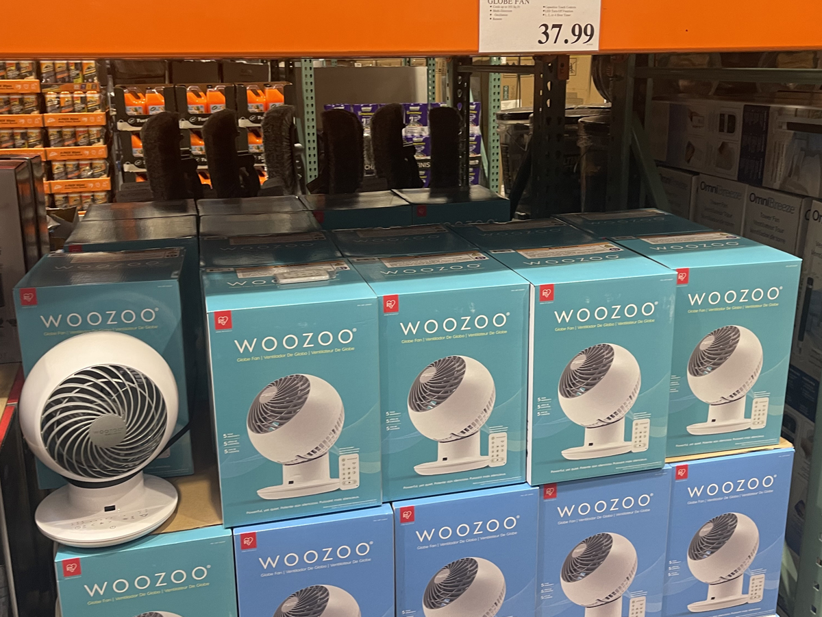 Woozoo Oscillating Fan With Remote Control Just $37.99 at Costco ...