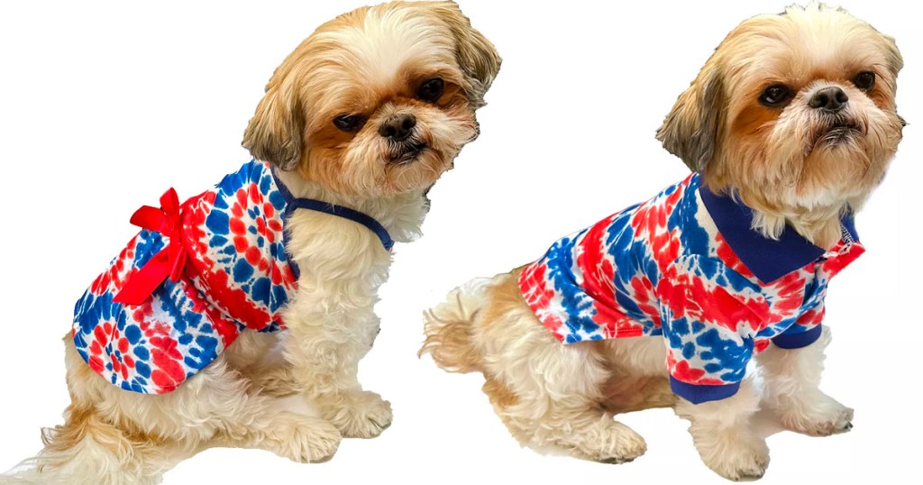 Pet Accessories from $3.74 (Regularly $10) on Kohls.com | Leashes ...