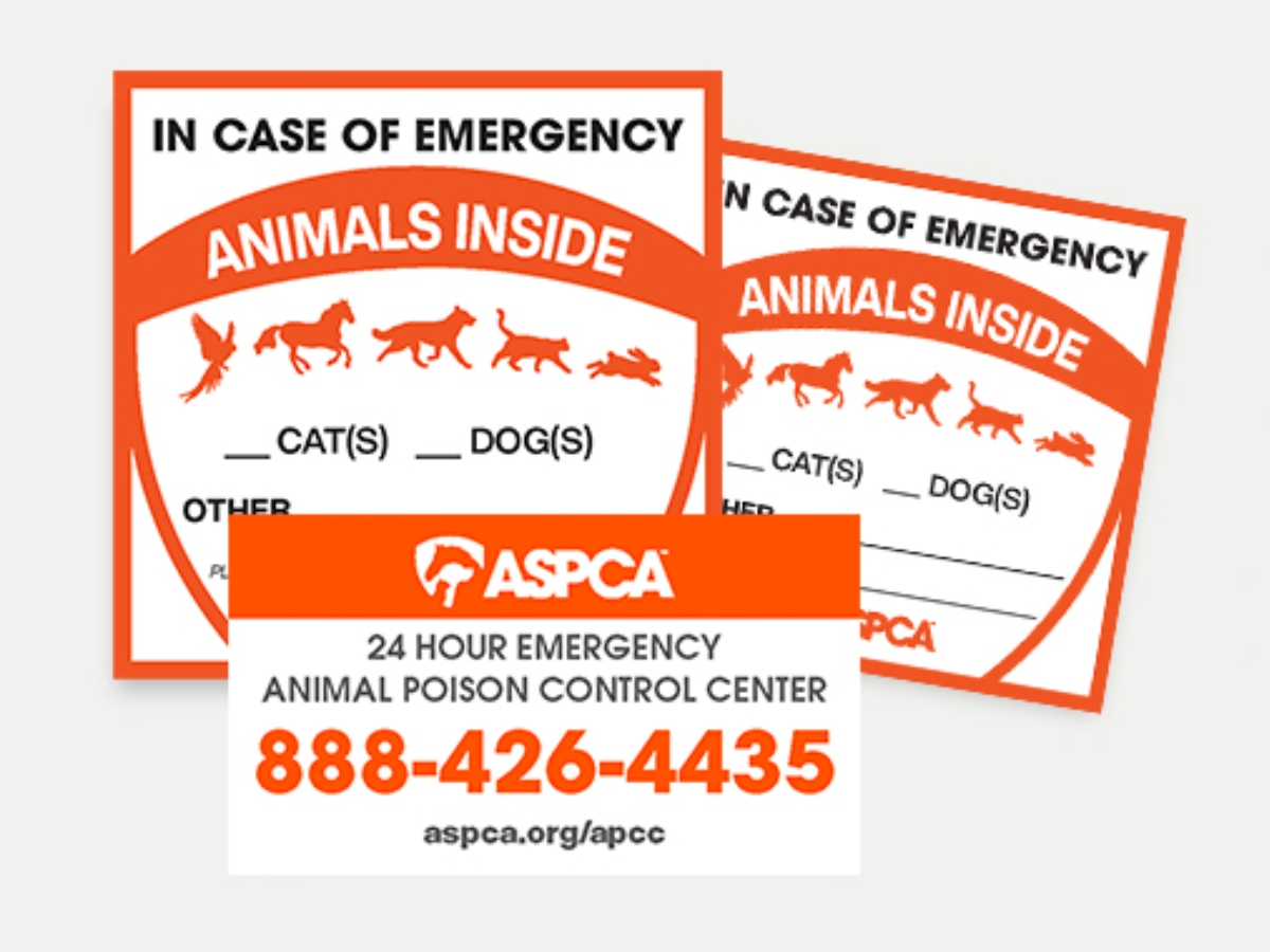 Free ASPCA Pet Safety Pack | Includes Emergency Stickers & Magnet ...