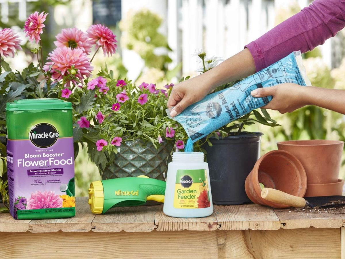 Lowe's Miracle-Gro Water Soluble Bloom Booster 5.5-lb Flower Food Only $12.98 | Hip2Save