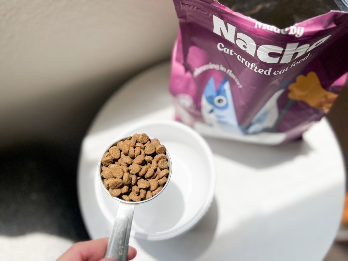 Score $2 Off Made by Nacho Cat Food (Chef Bobby Flay's Brand!)