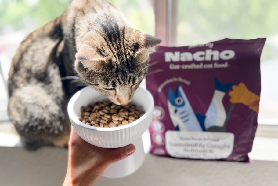 Score $2 Off Made by Nacho Cat Food (Chef Bobby Flay's Brand!)