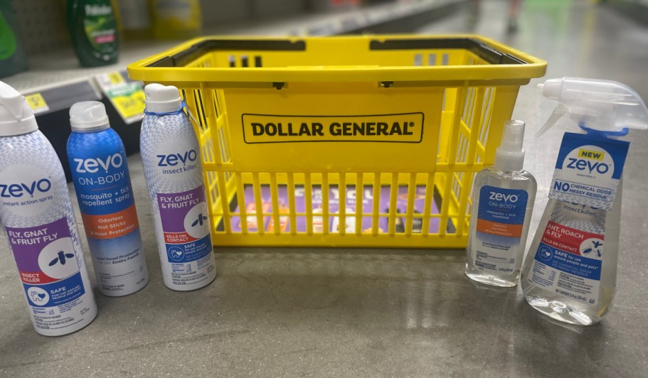 Dollar General Is Closing 141 Stores by January 2026 | Hip2Save