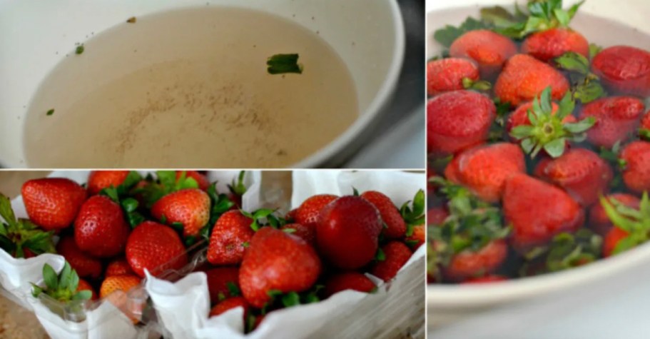 4 Hacks for How to Keep Strawberries Fresh | Hip2Save
