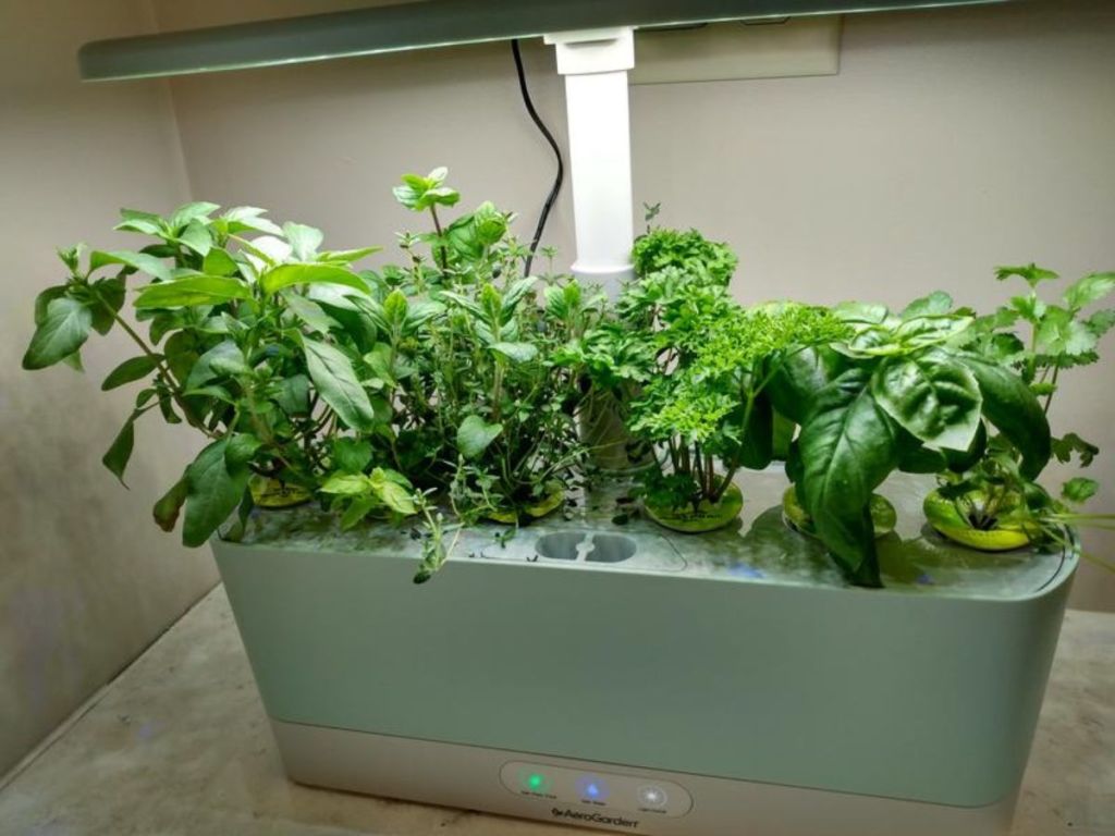 AeroGarden Indoor Garden System Only $54.99 Shipped (Reg. $165) | Hip2Save