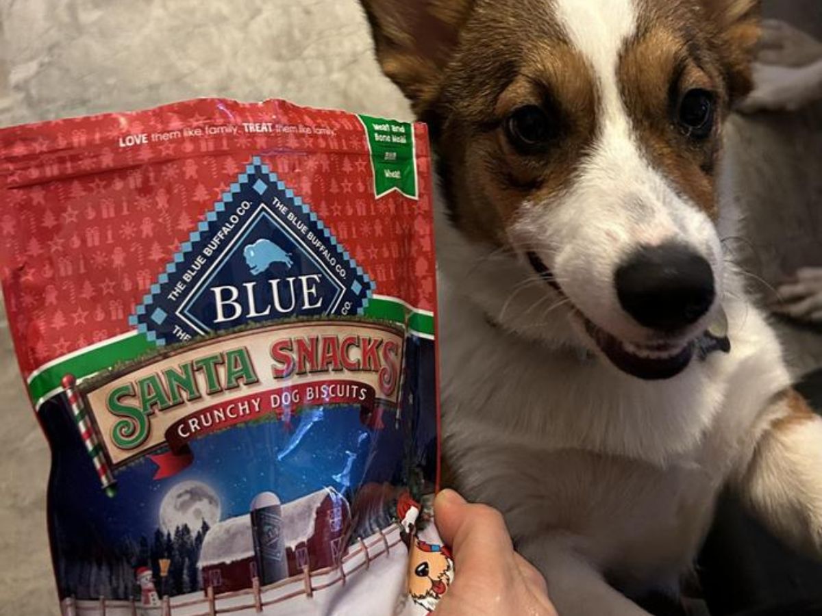 Blue Buffalo Dog Crunchy Treats 11oz Bag Only $3.47 on Amazon (Reg. $7 ...