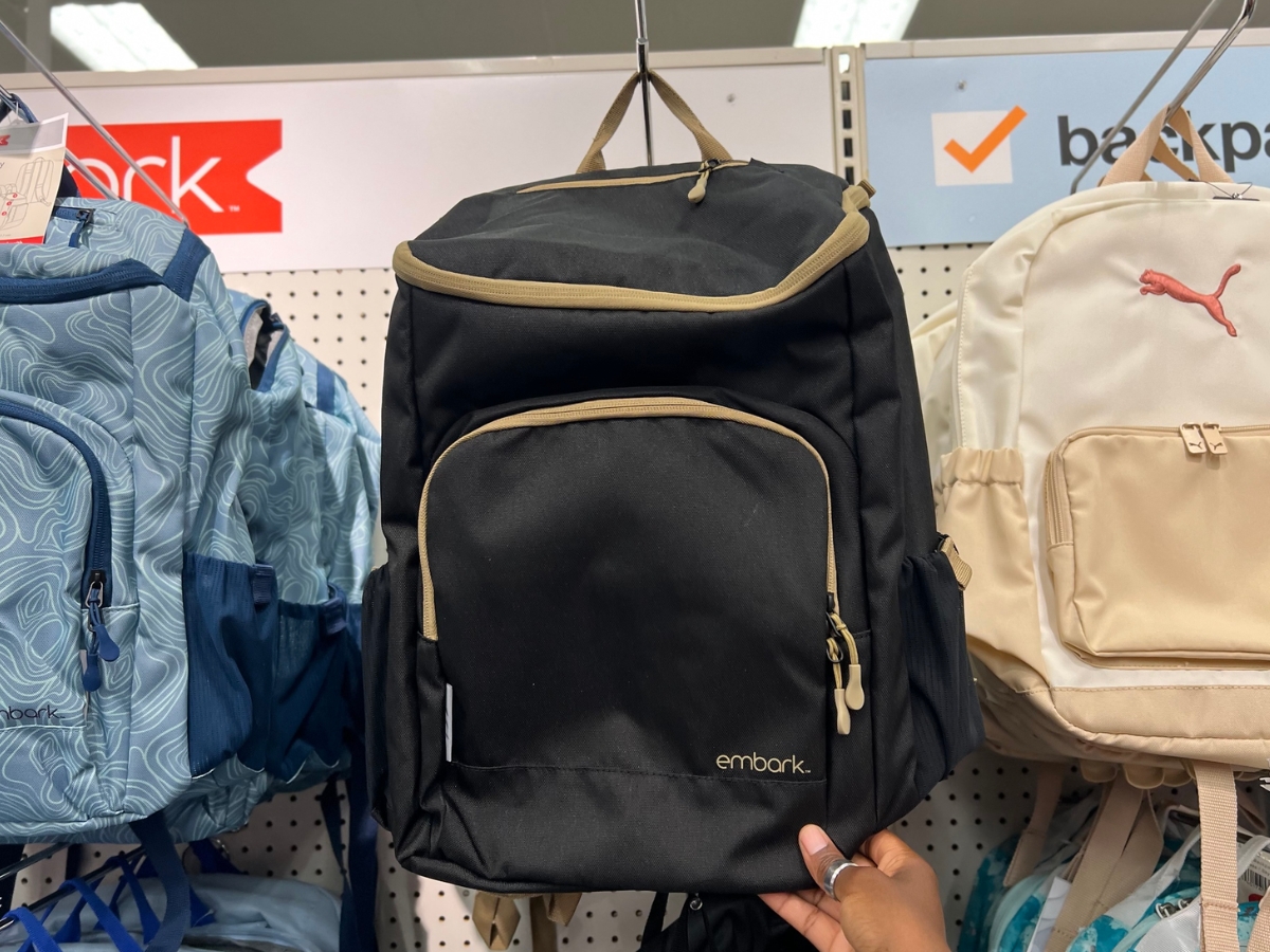 Target: Dove Holiday Truffles Only $2.30