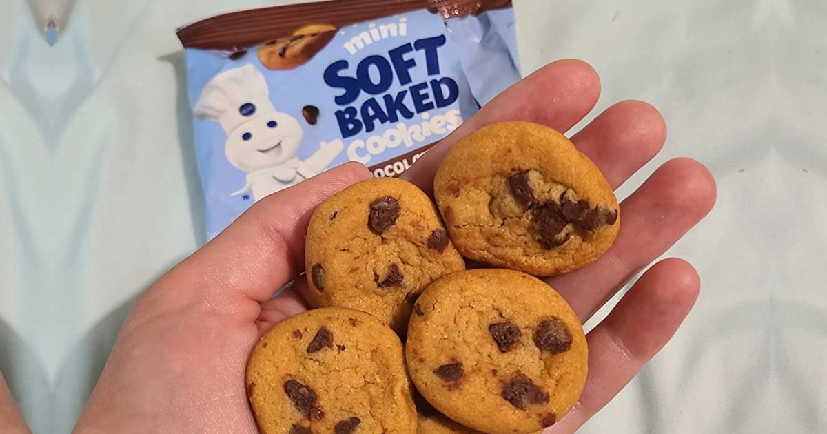 Get 12 Bags of Pillsbury Mini Soft Baked Cookies for Only $4.70 Shipped ...