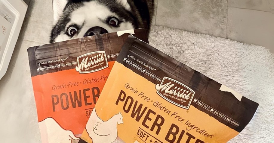 Merrick Dog Treat Bags Just $3.52 Each Shipped on Amazon (Regularly $9 ...