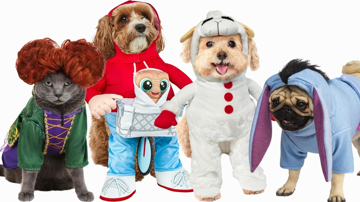 New Petco Halloween Costumes from $19.99 | Hip2Save