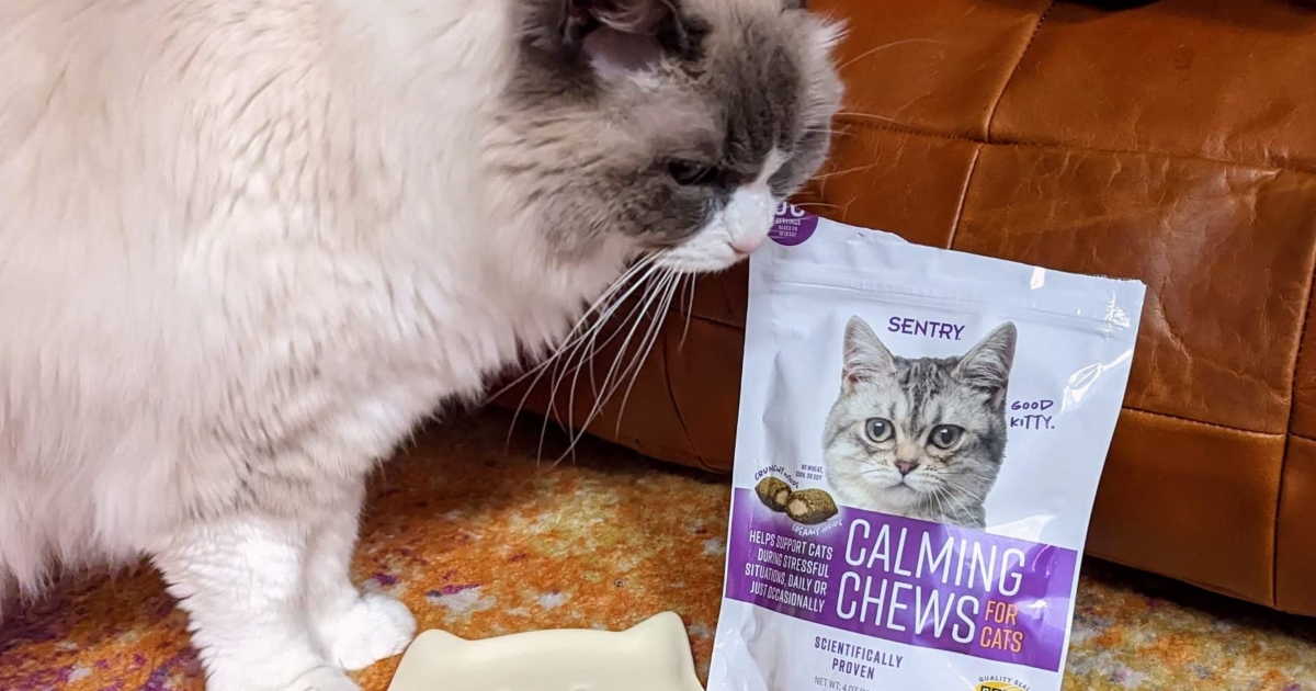 Amazon Subscribe & Save Pet Deals | $60 Off Pet Supplies + More